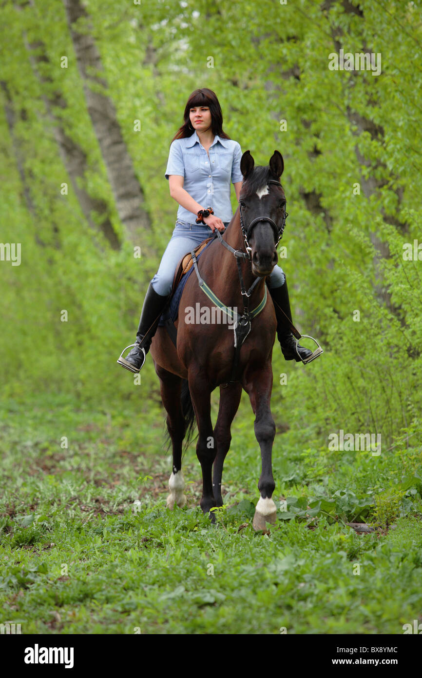 Beauty Horseback Horsewoman Horse High Resolution Stock Photography and ...