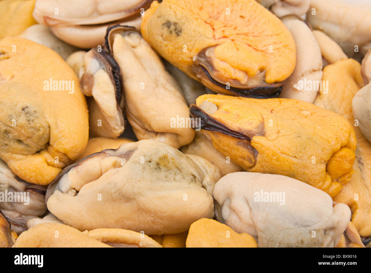 Boiled yellow mussel Stock Photo - Alamy