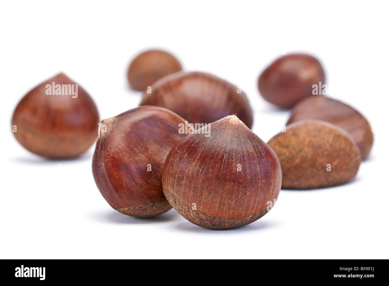 Chestnut brown hi-res stock photography and images - Alamy