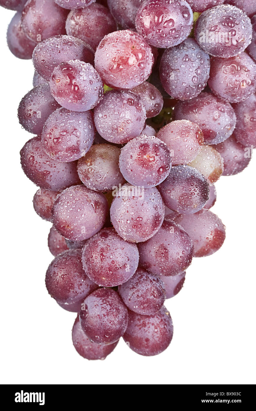 Red grape fruit Stock Photo - Alamy