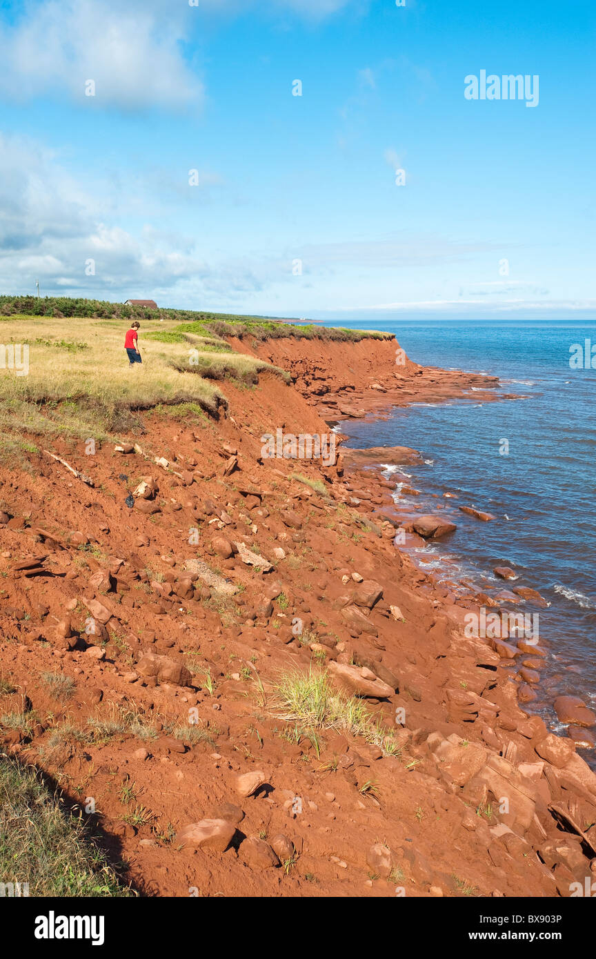 Red cliffs prince edward island hi-res stock photography and images - Alamy