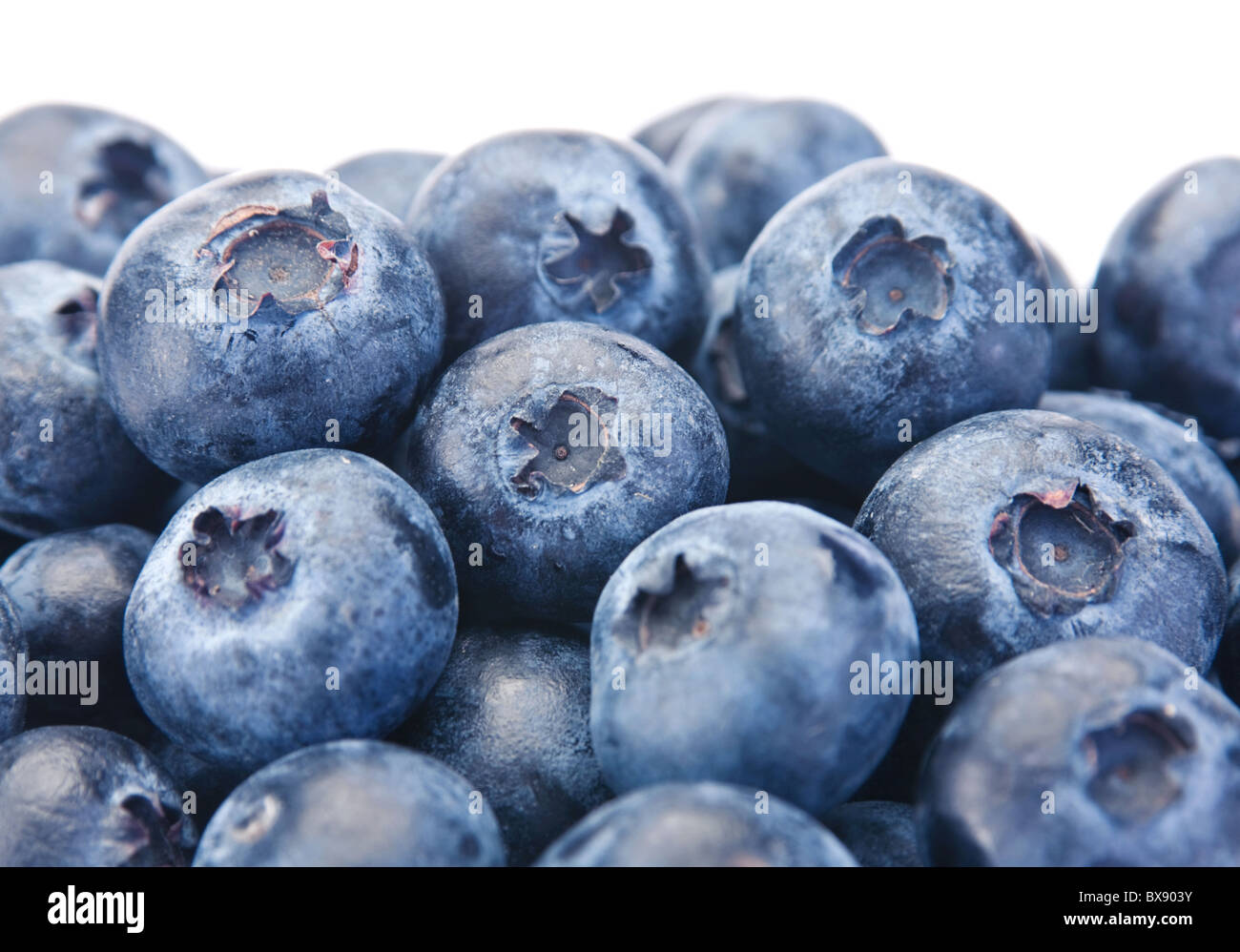 Blueberry berry closeup Stock Photo - Alamy