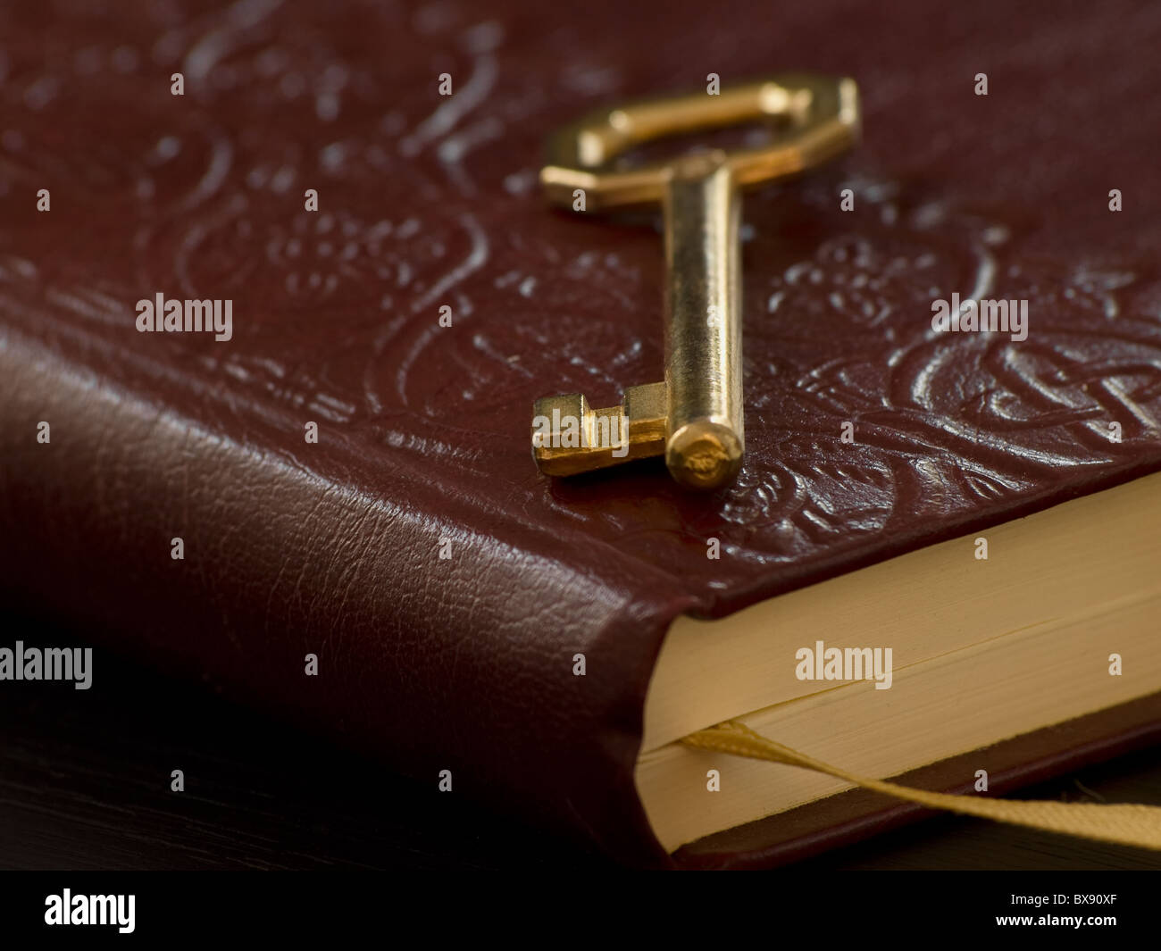 Locked diary hi-res stock photography and images - Alamy