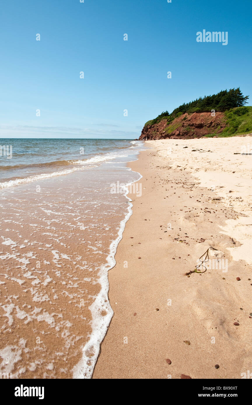 Singing Sands beach, Canola field, Bothwell, Prince Edward Island, the maritimes, canada Stock ...