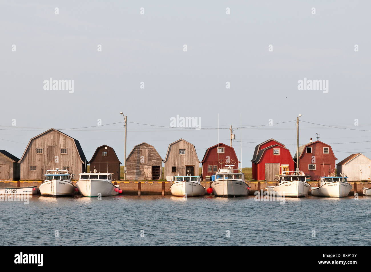 Malpeque bay hi-res stock photography and images - Alamy