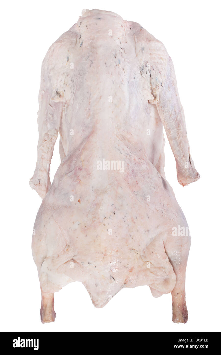 Raw goose body on white Stock Photo - Alamy