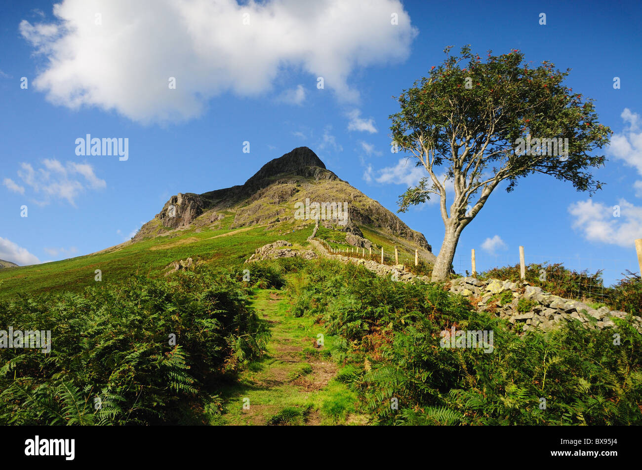 View up the footpath towards the summit of Yewbarrow in the English ...