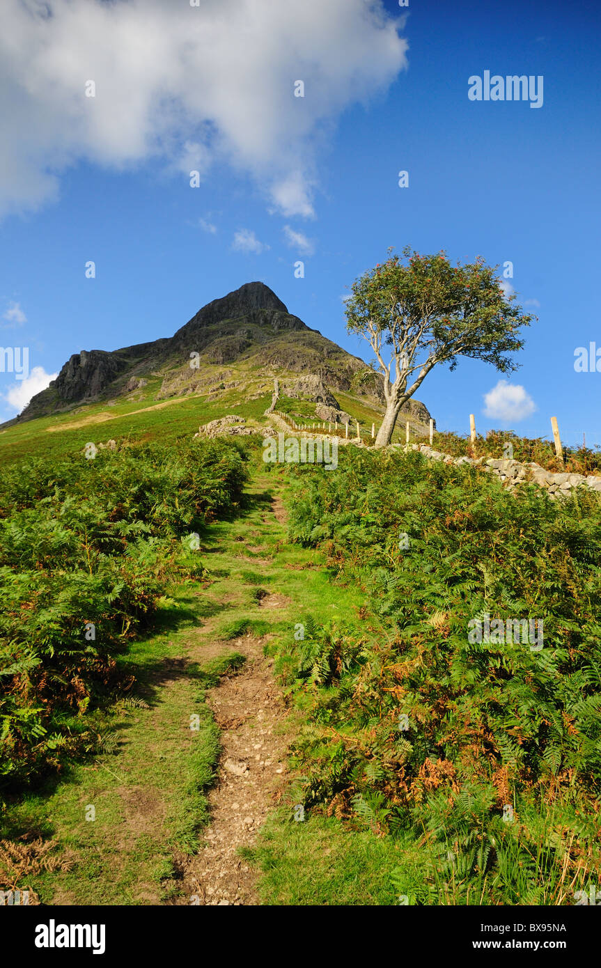 View up the footpath towards the summit of Yewbarrow in the English ...