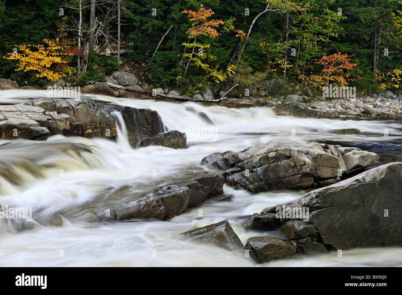 Portion of the Lower Falls on the Swift River with Autumn Color in the ...