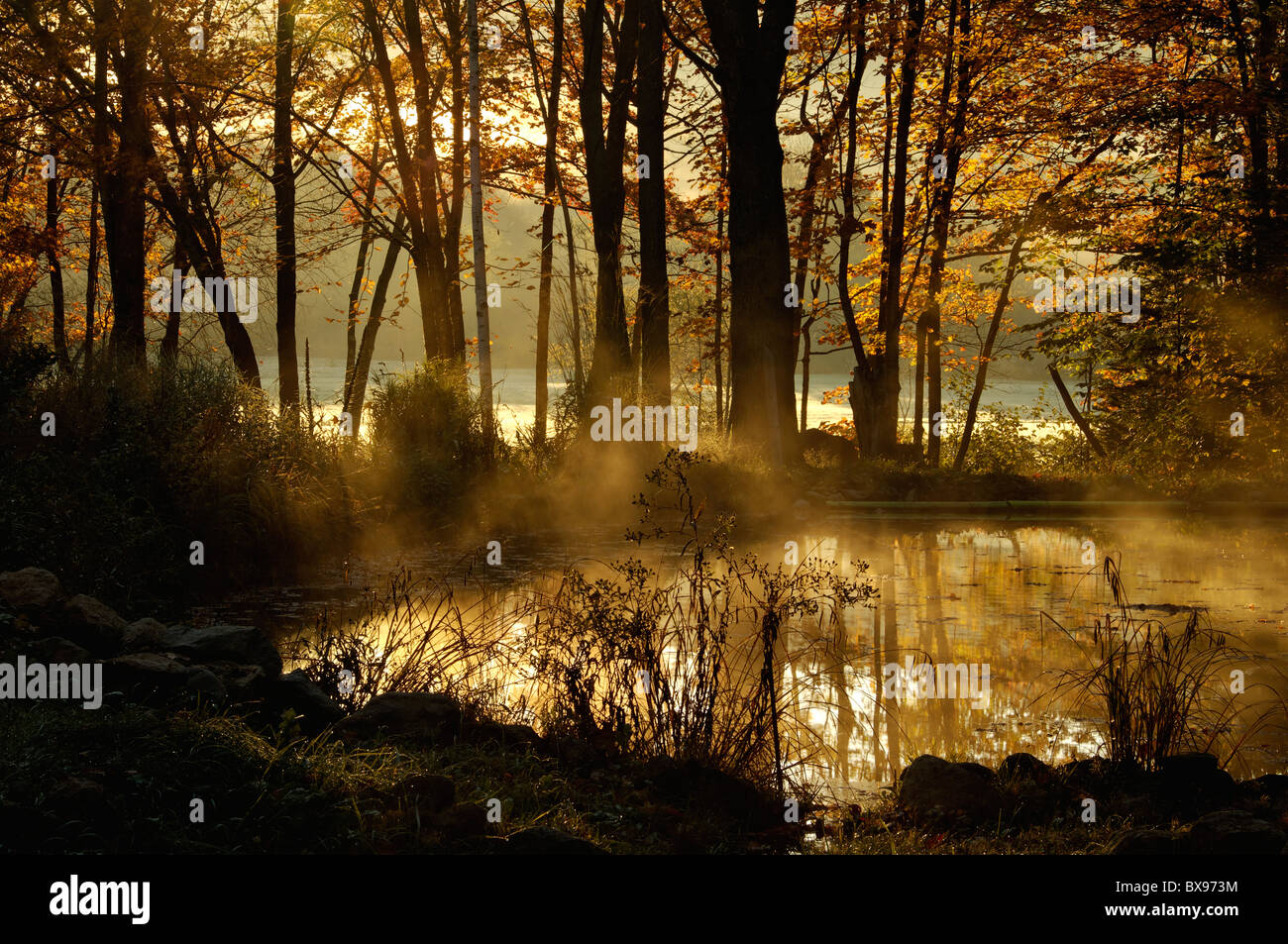Mist rising from pond hi-res stock photography and images - Alamy