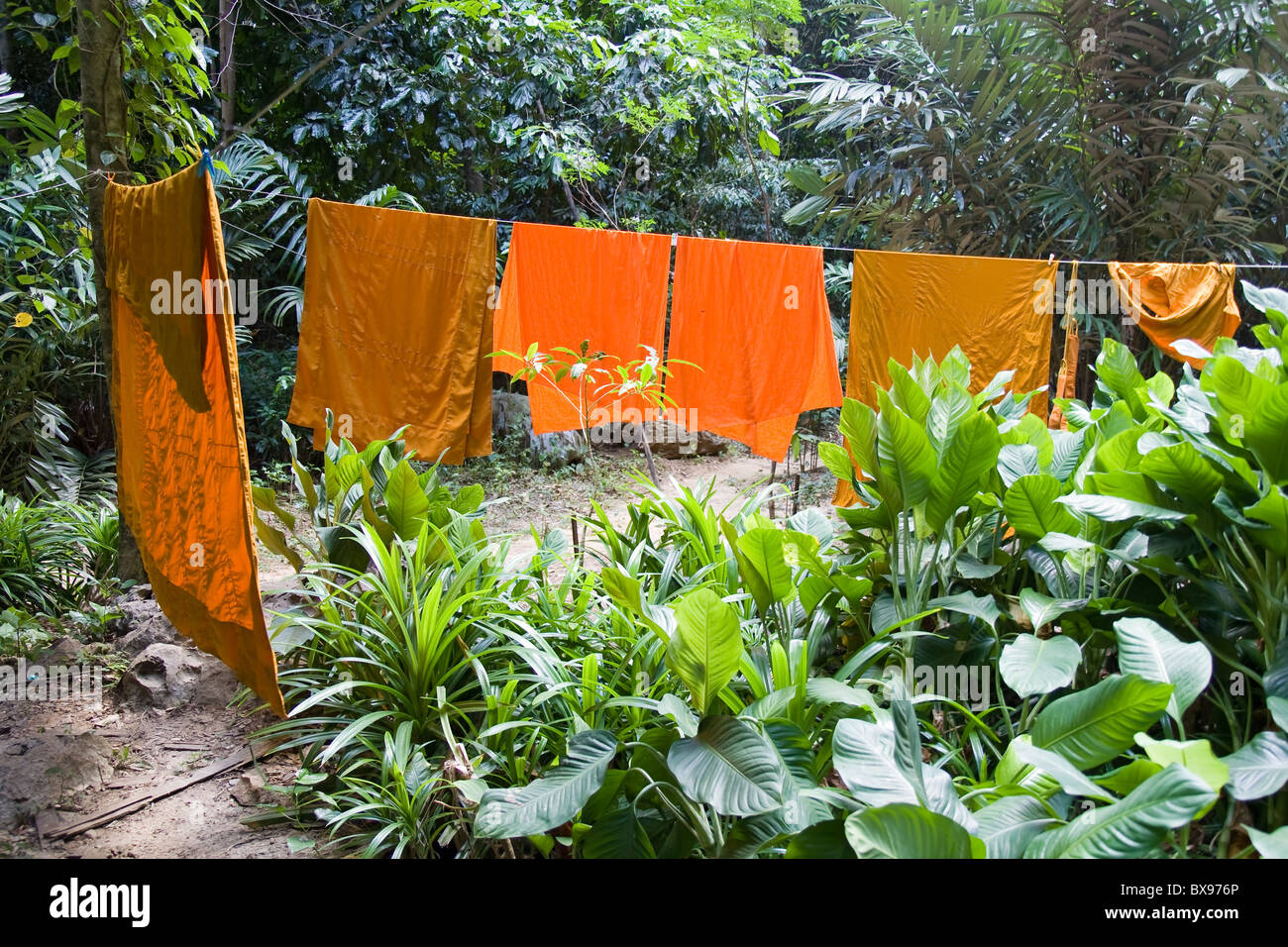 Thai monks robe hi-res stock photography and images - Alamy