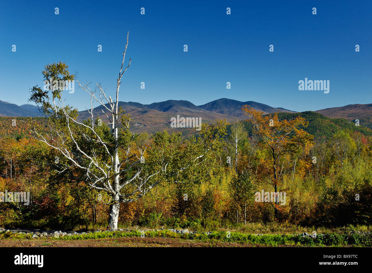 Presidential range hi-res stock photography and images - Alamy