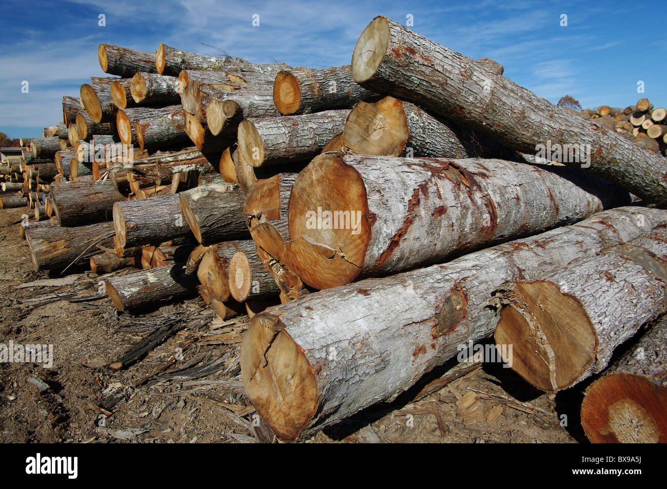 Rough hewn logs hi-res stock photography and images - Alamy
