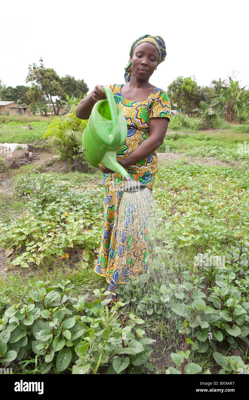 A young farmer waters vegetables in her garden in Kakata, Liberia, West ...