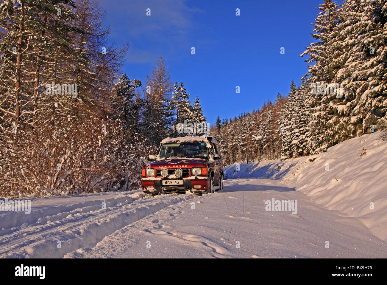 Land Rover in deep snow in forest Stock Photo - Alamy
