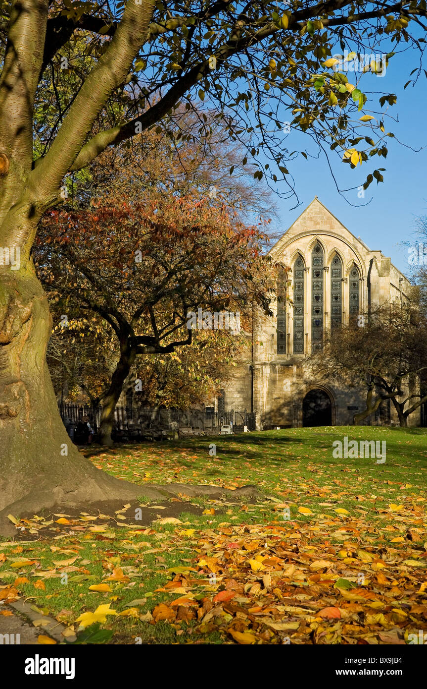 Minster Library in autumn Deans Park York North Yorkshire England UK ...