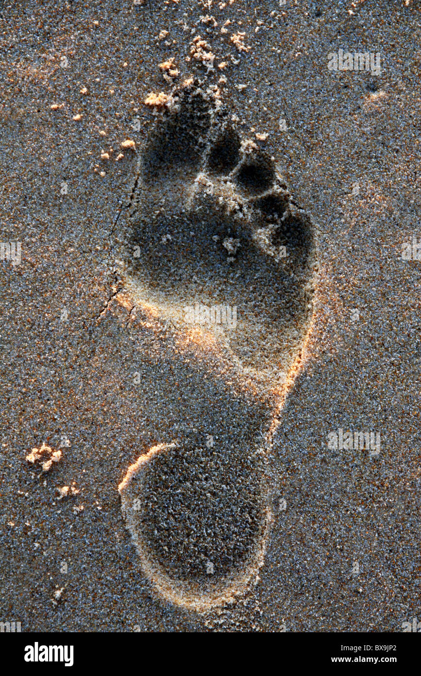 Close up view of the mark of a barefoot imprinted on the sand Stock ...