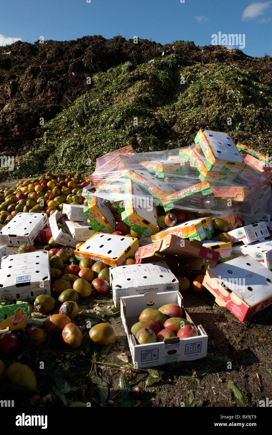 Rotten cardboard hi-res stock photography and images - Alamy