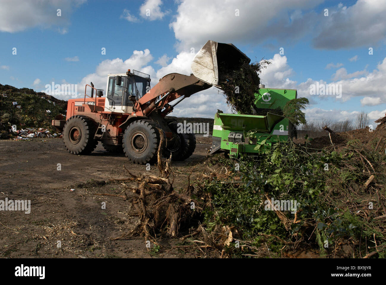 Front loader emptying garden waste into composting plant at site for ...