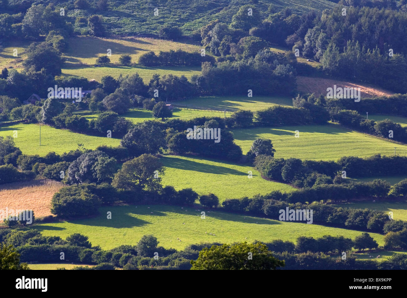 Powys, Rural Landscape Stock Photo - Alamy