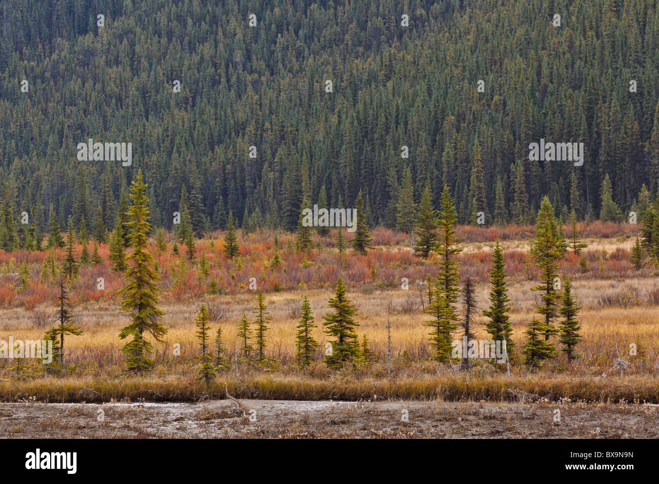 Saskatchewan crossing hi-res stock photography and images - Alamy