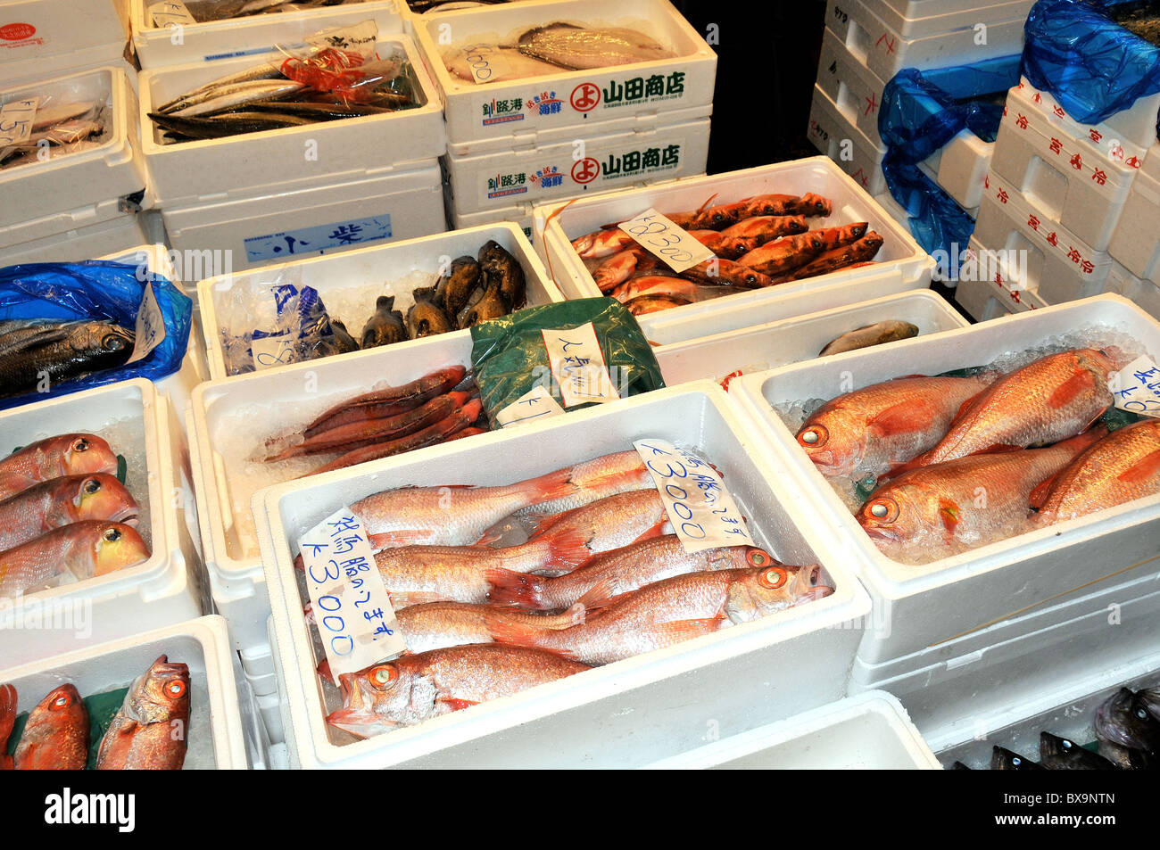 fresh fishes, Fish market, Tokyo, Japan Stock Photo - Alamy