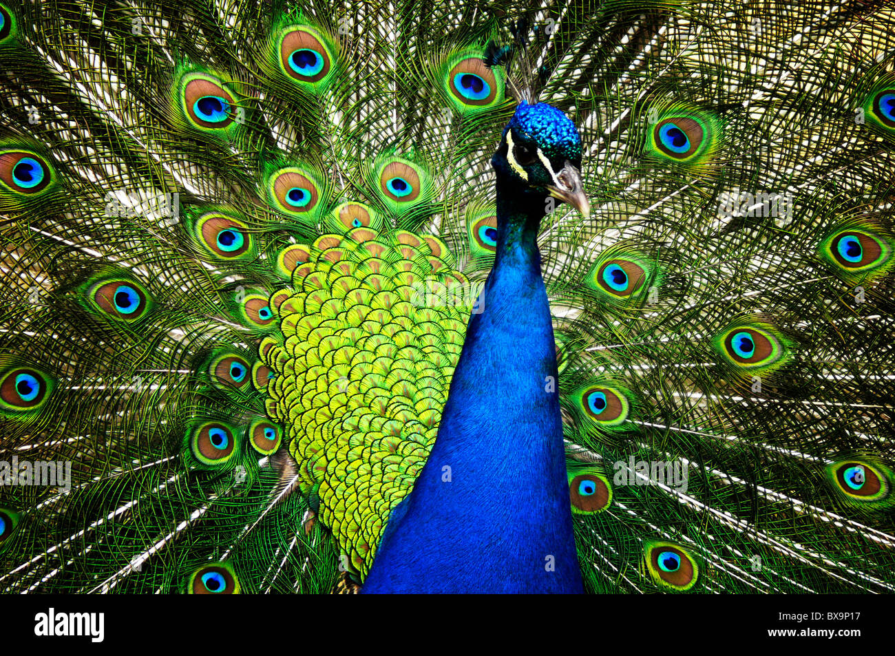 Spread open hi-res stock photography and images - Alamy