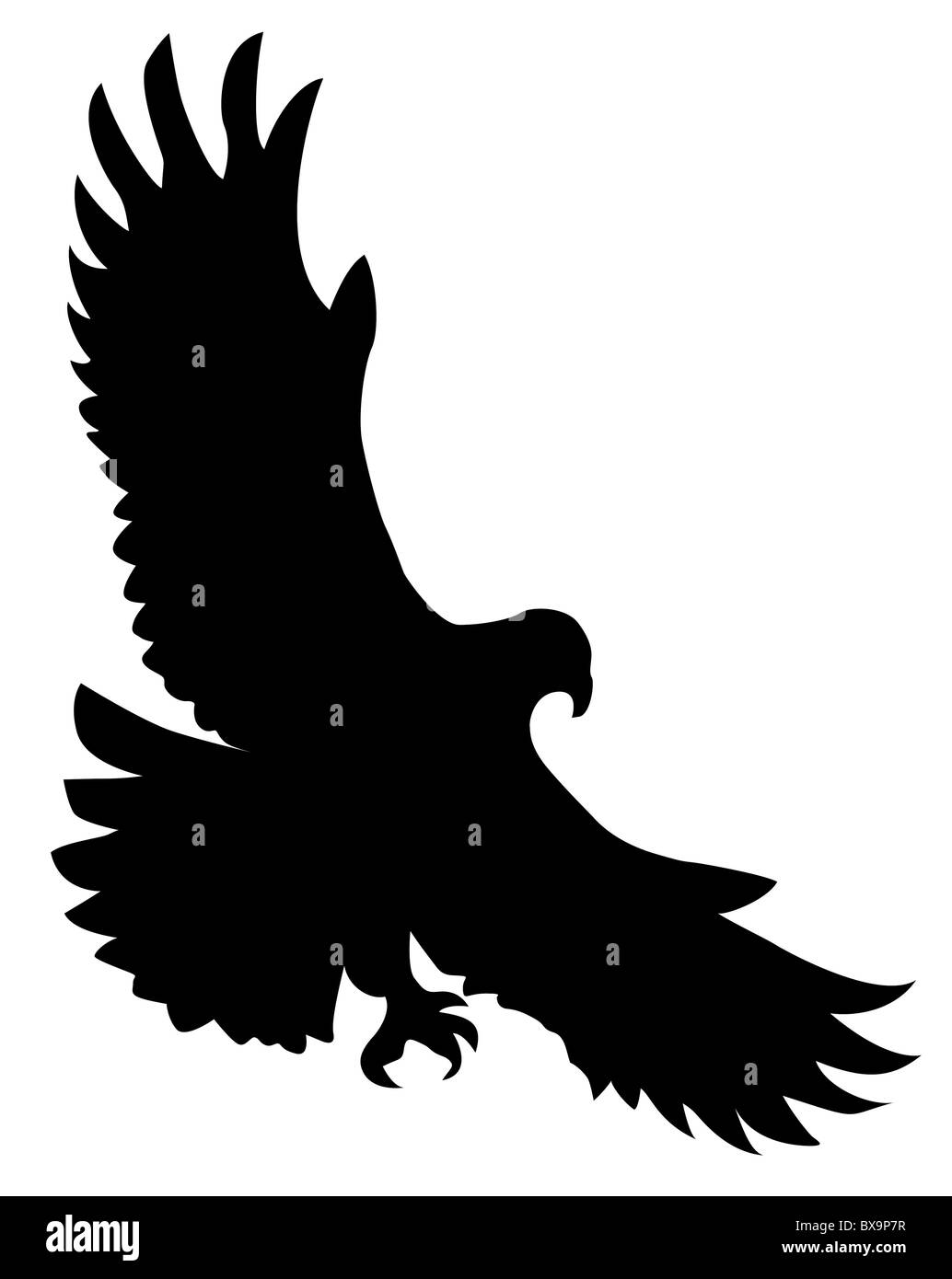 vector silhouette of the ravenous bird on white background Stock Photo ...