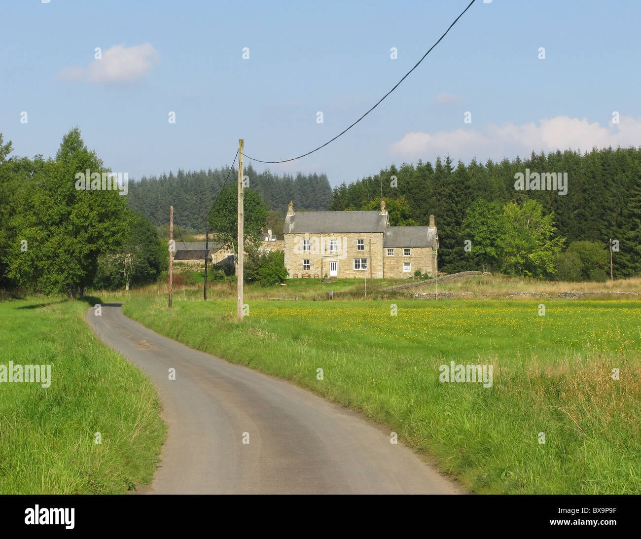 House in the Tarset valley, Northumberland, England, UK Stock Photo - Alamy
