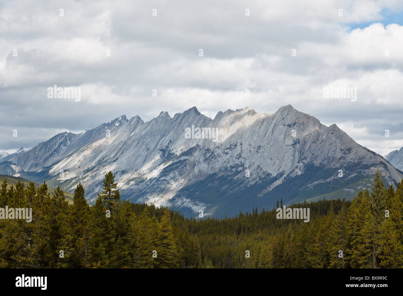 Colin Range, Jasper National Park, Alberta, Canada Stock Photo - Alamy