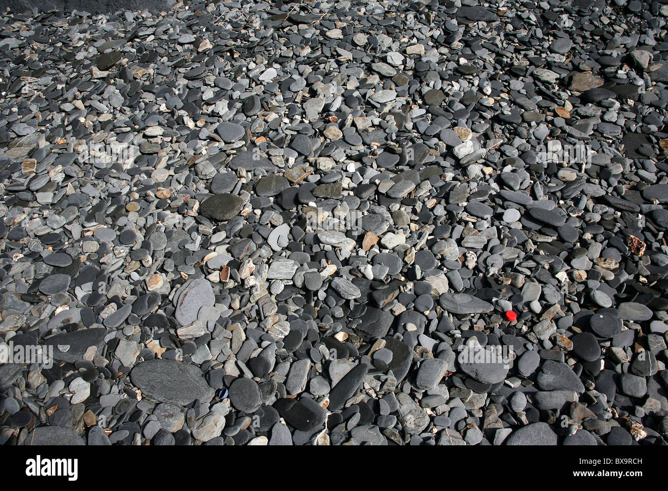 Miss cornwall hi-res stock photography and images - Alamy