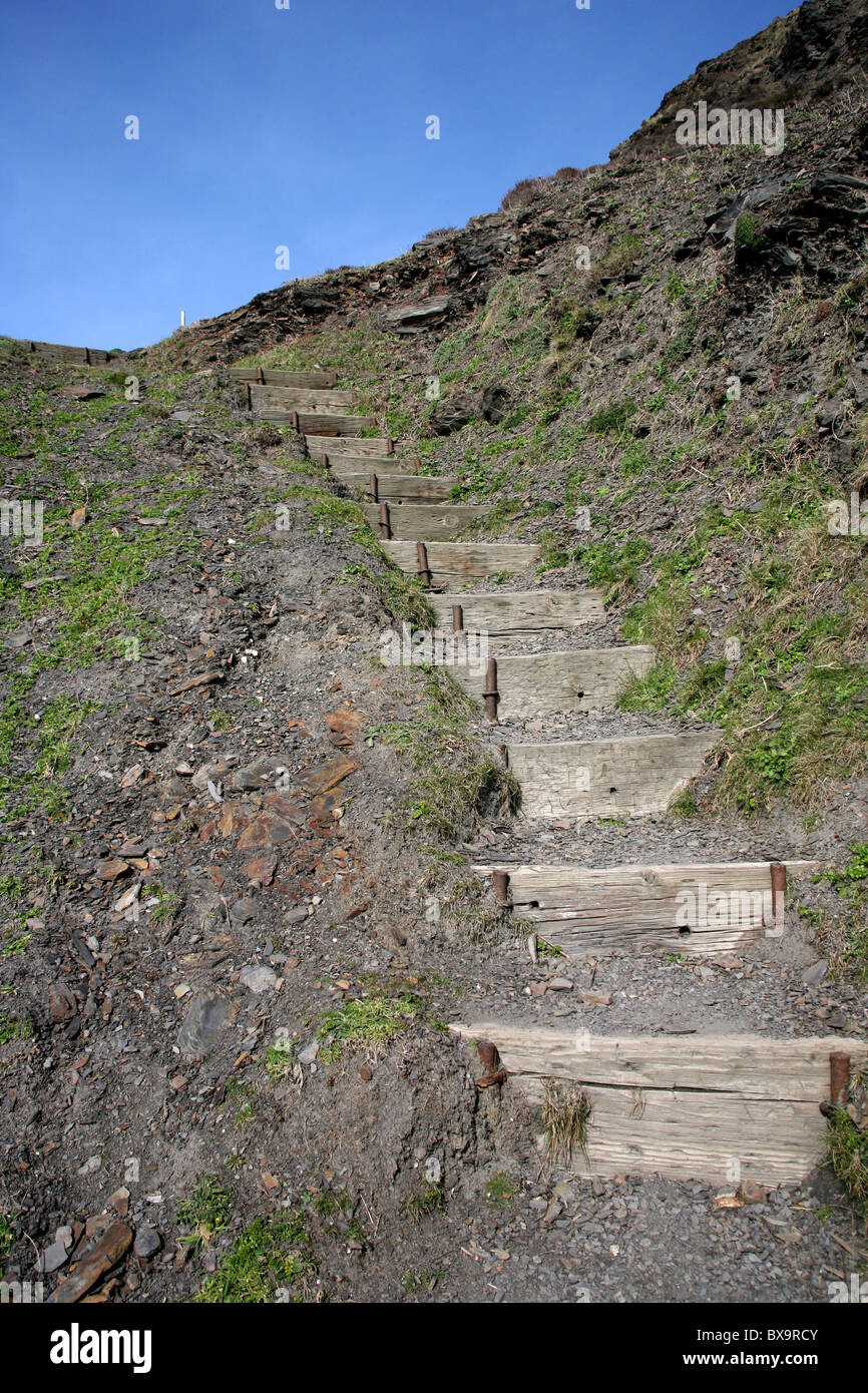 Steps leading up the Cornish coast path Stock Photo - Alamy