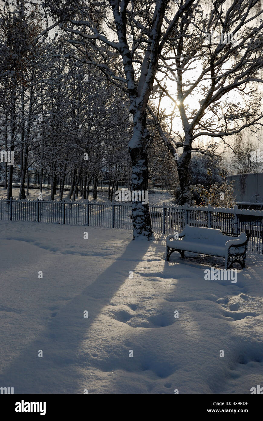 Early morning light on snow hi-res stock photography and images - Alamy