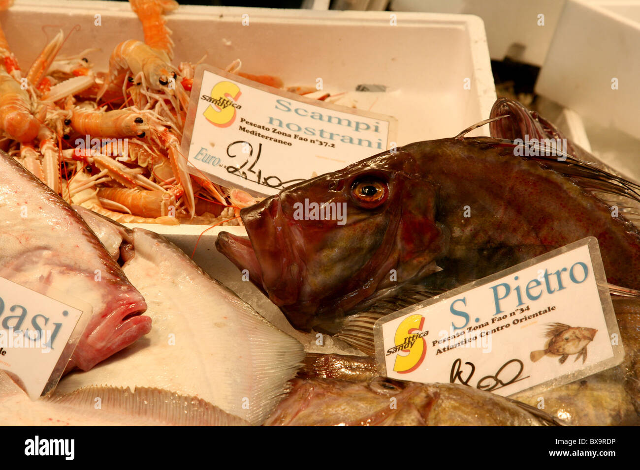 Venice fish market Stock Photo - Alamy