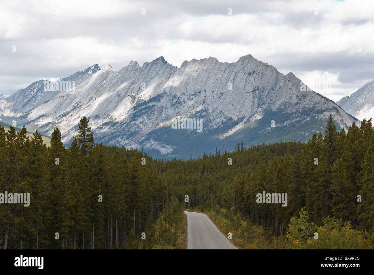 Maligne Road and Colin Range, Jasper National Park, Alberta, Canada ...
