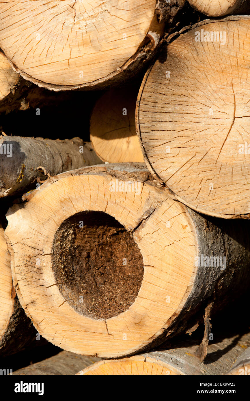 Aspen Log High Resolution Stock Photography and Images - Alamy