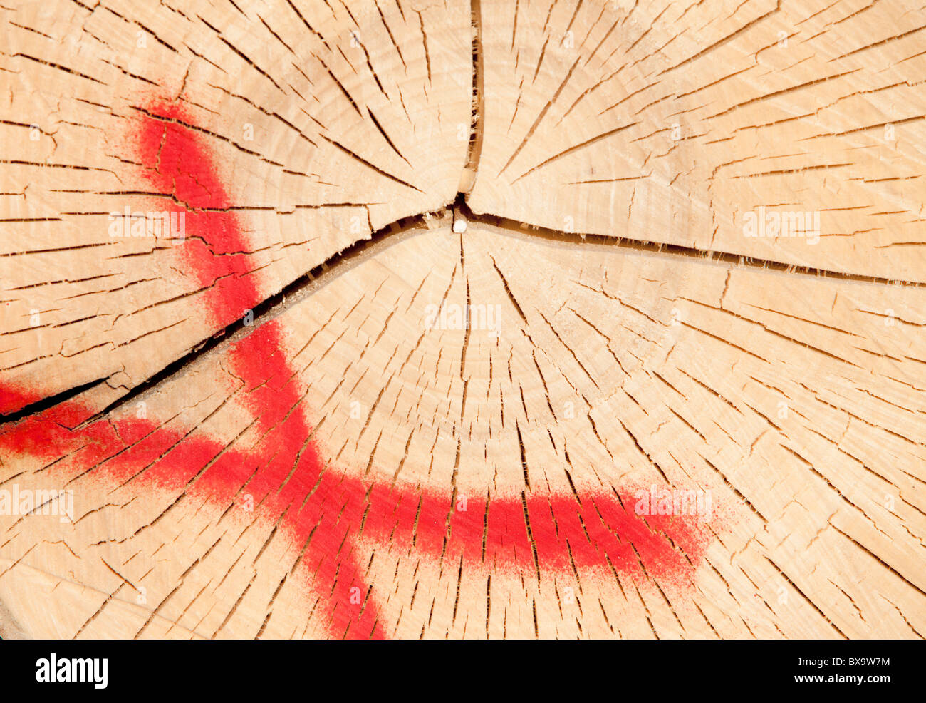 Aspen Log High Resolution Stock Photography and Images - Alamy