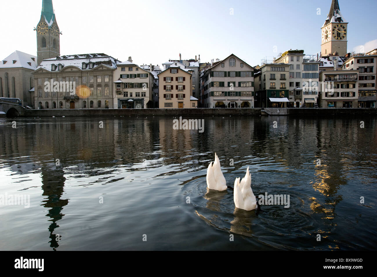 Zurich limmat river swimming hi-res stock photography and images - Alamy