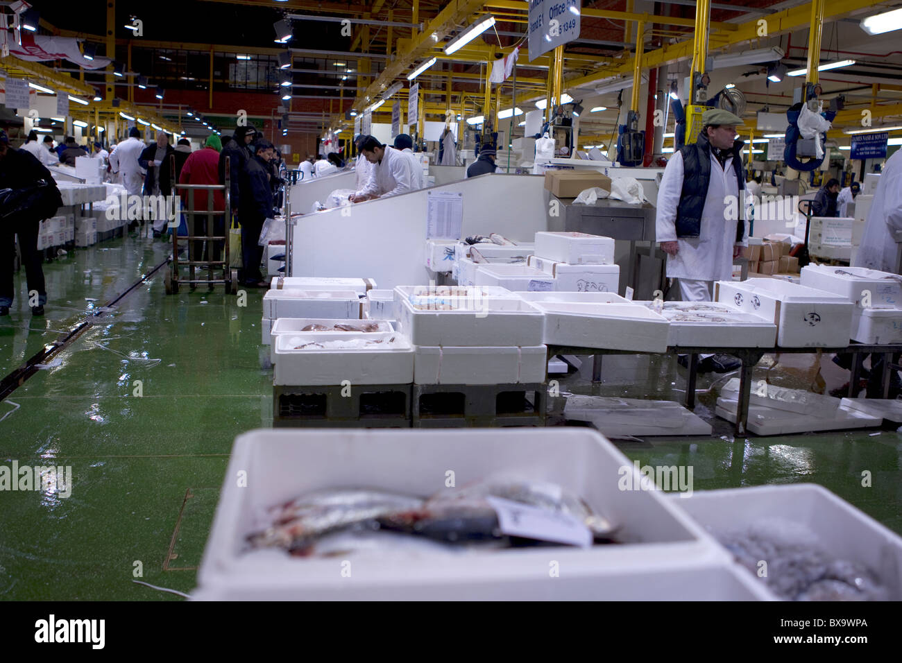 Export food to england hi-res stock photography and images - Alamy