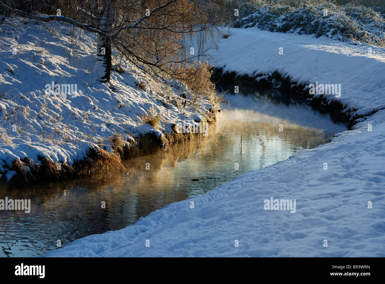 morning sunlight across riverbank Stock Photo - Alamy