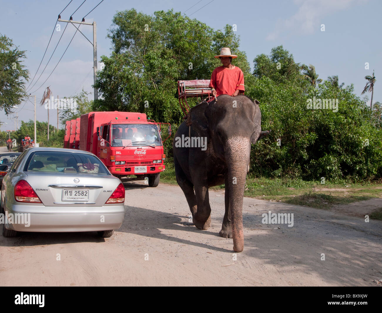 The elephant caravan moving along the suburban road Stock Photo - Alamy