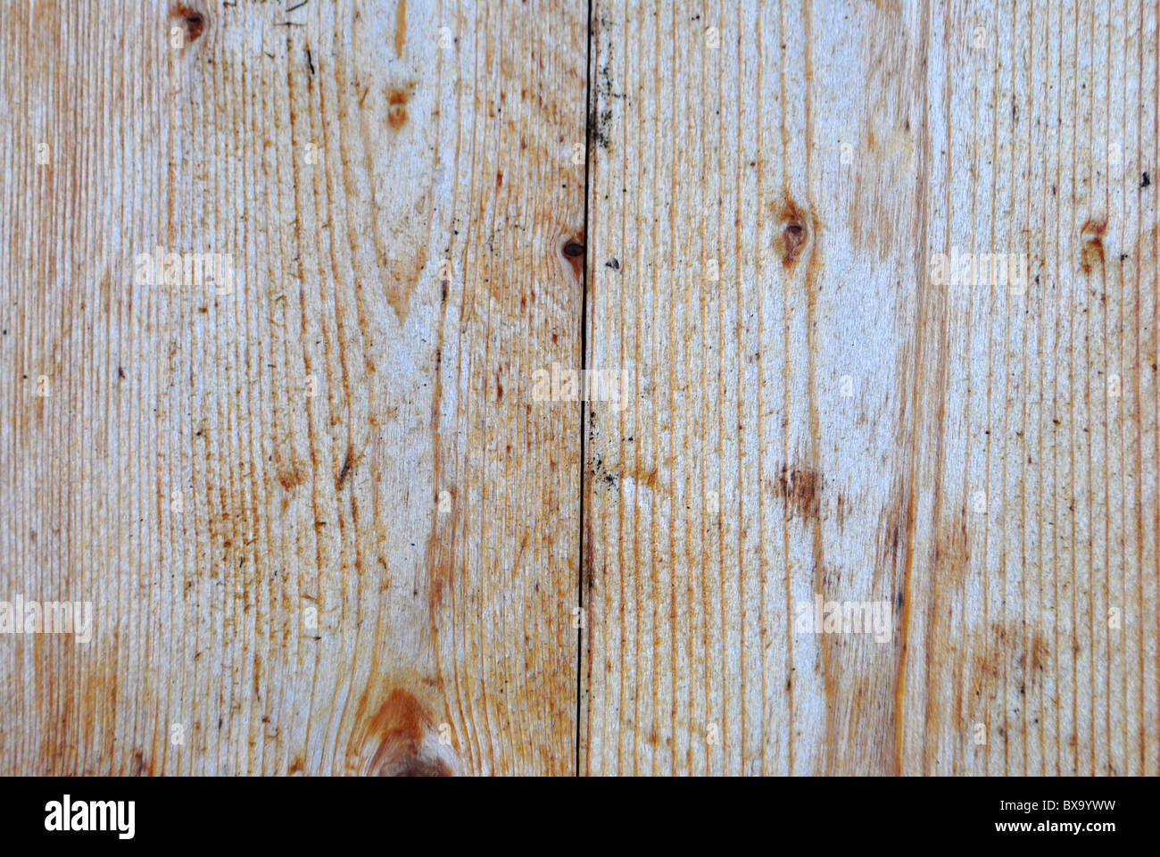 texture of a piece of larch timber Stock Photo - Alamy