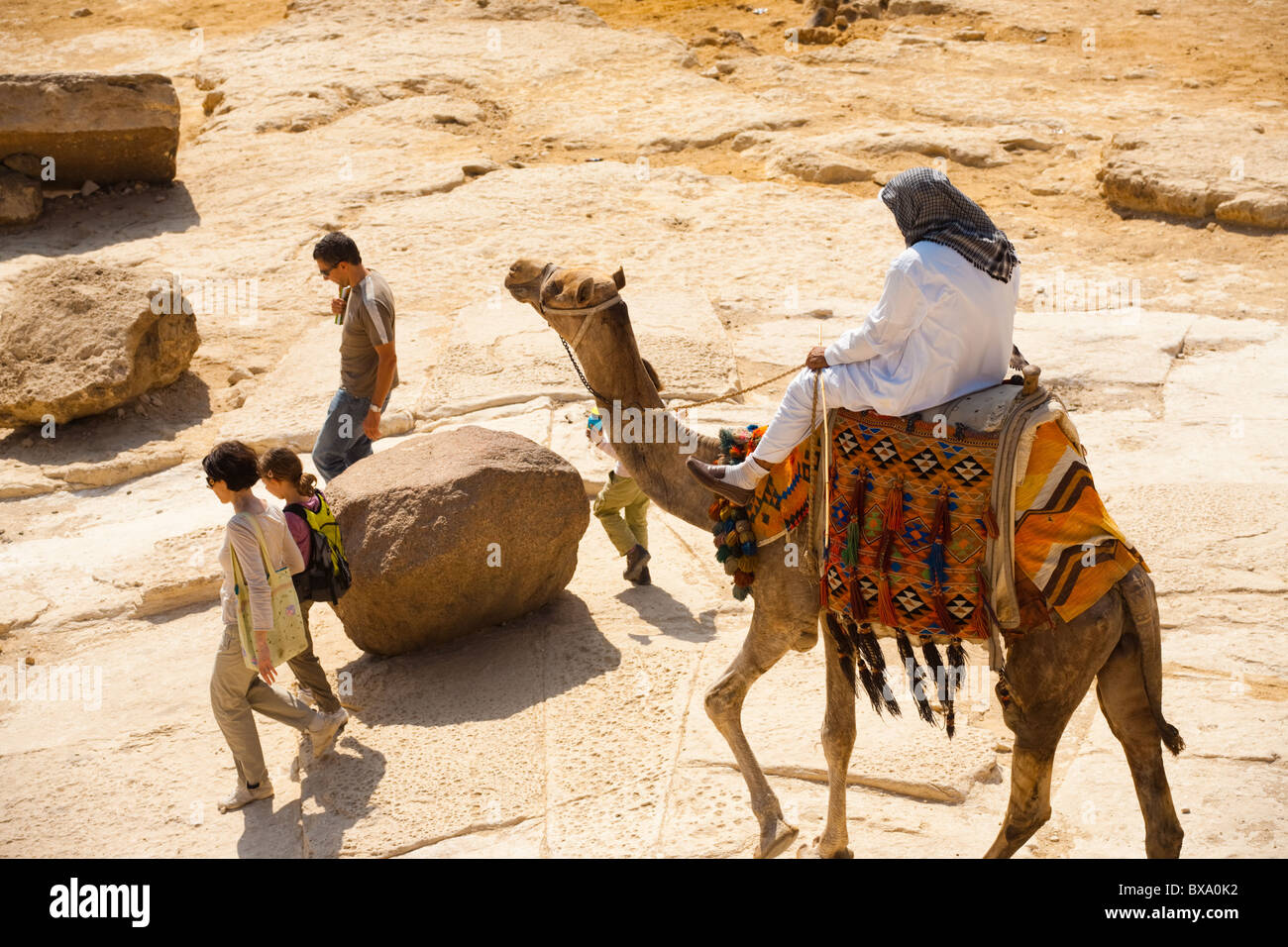Persistent camel guide, tout following and nagging uninterested family ...