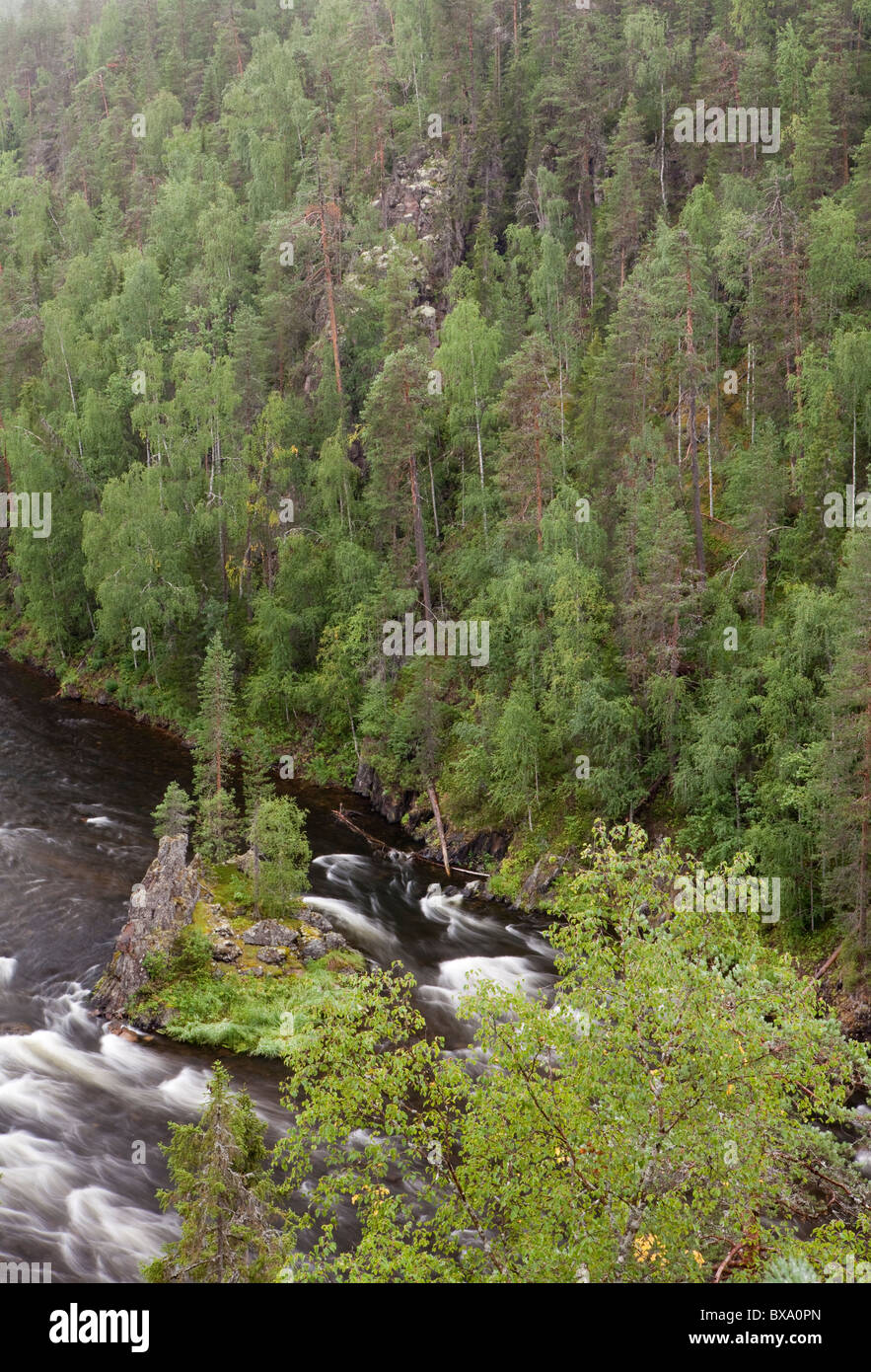 Kalliosaari island in Kitkajoki river, Pieni Karhunkierros day trail ...
