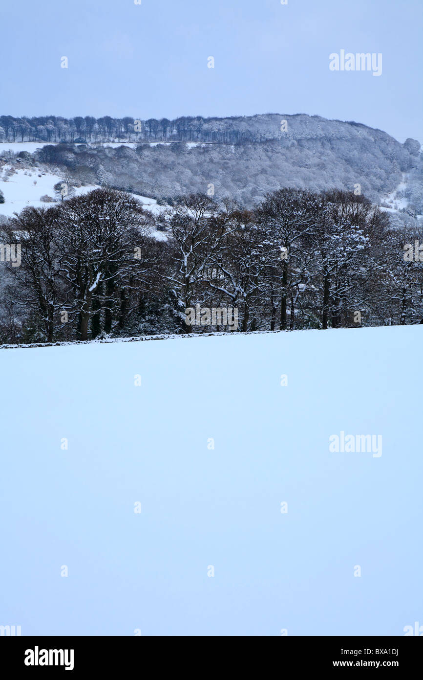 Deep snow in Honley fields, Holmfirth, West Yorkshire, England, UK ...