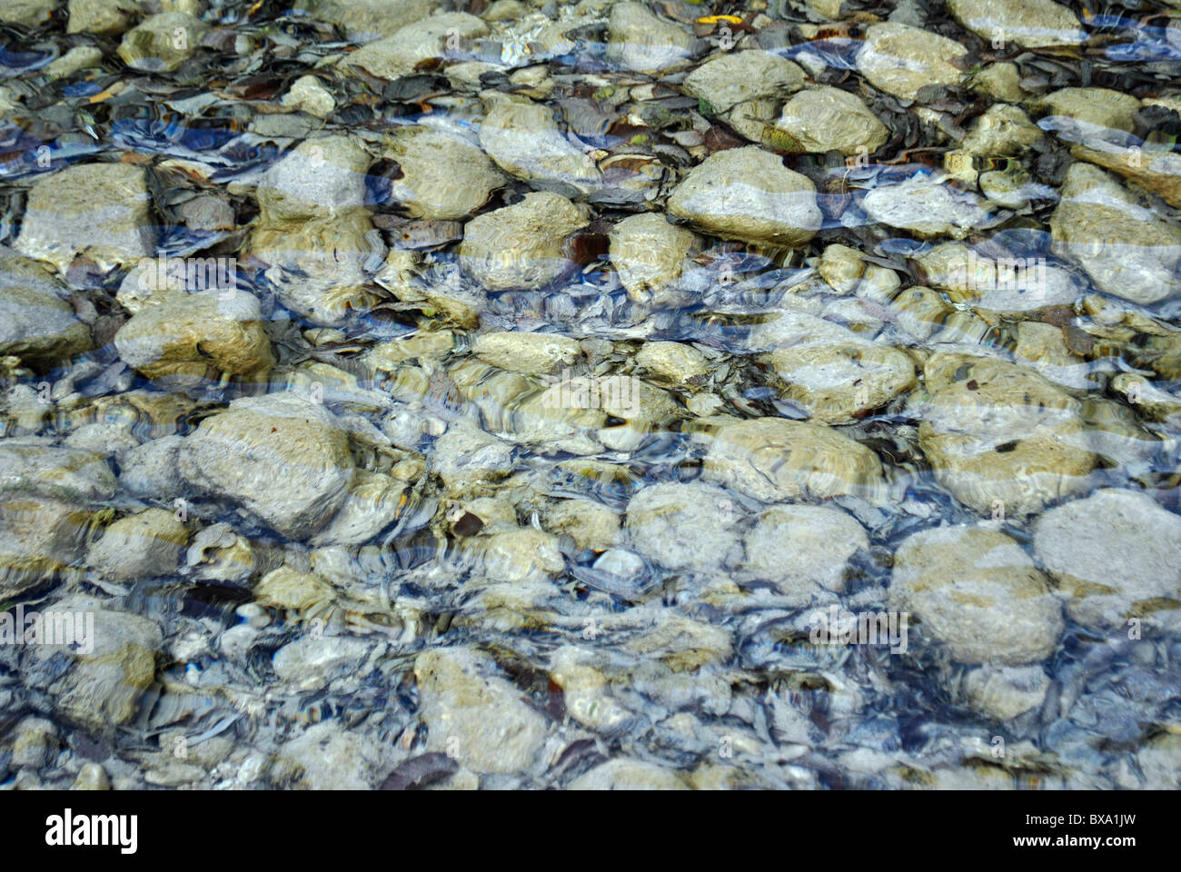 Pebbles water ripples aqua hi-res stock photography and images - Alamy