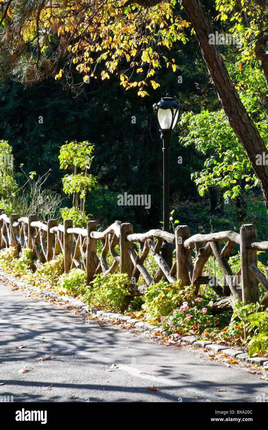 American wood wooden timber log logs central park hi-res stock ...