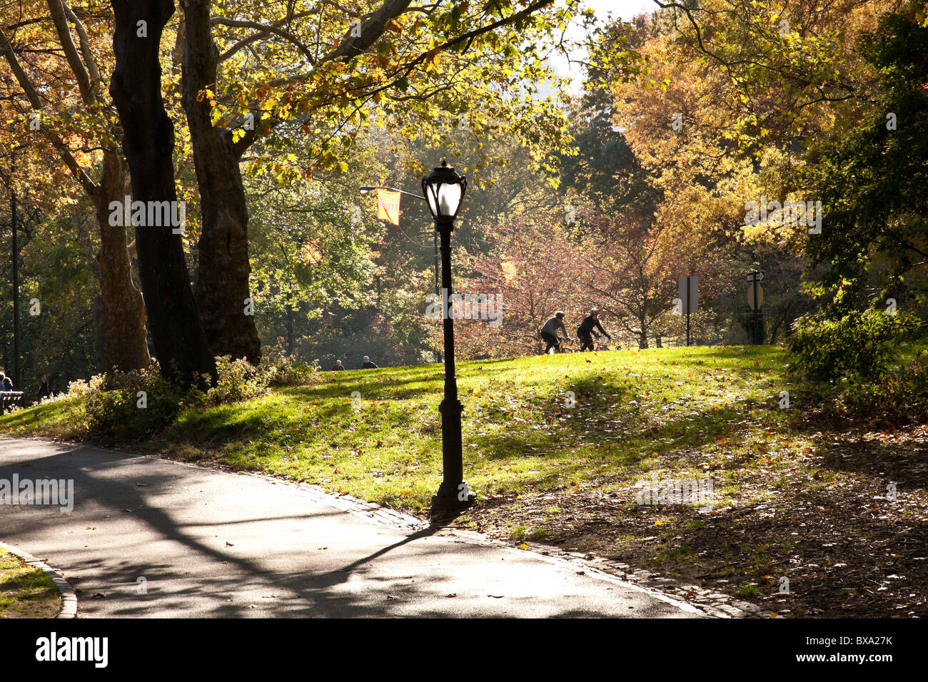 Lamp Post, Walking Path, Central Park, Autumn, NYC Stock Photo - Alamy