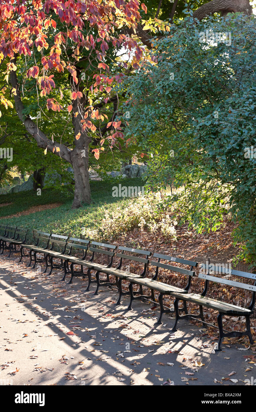 Metropolitan national park pathway hi-res stock photography and images ...
