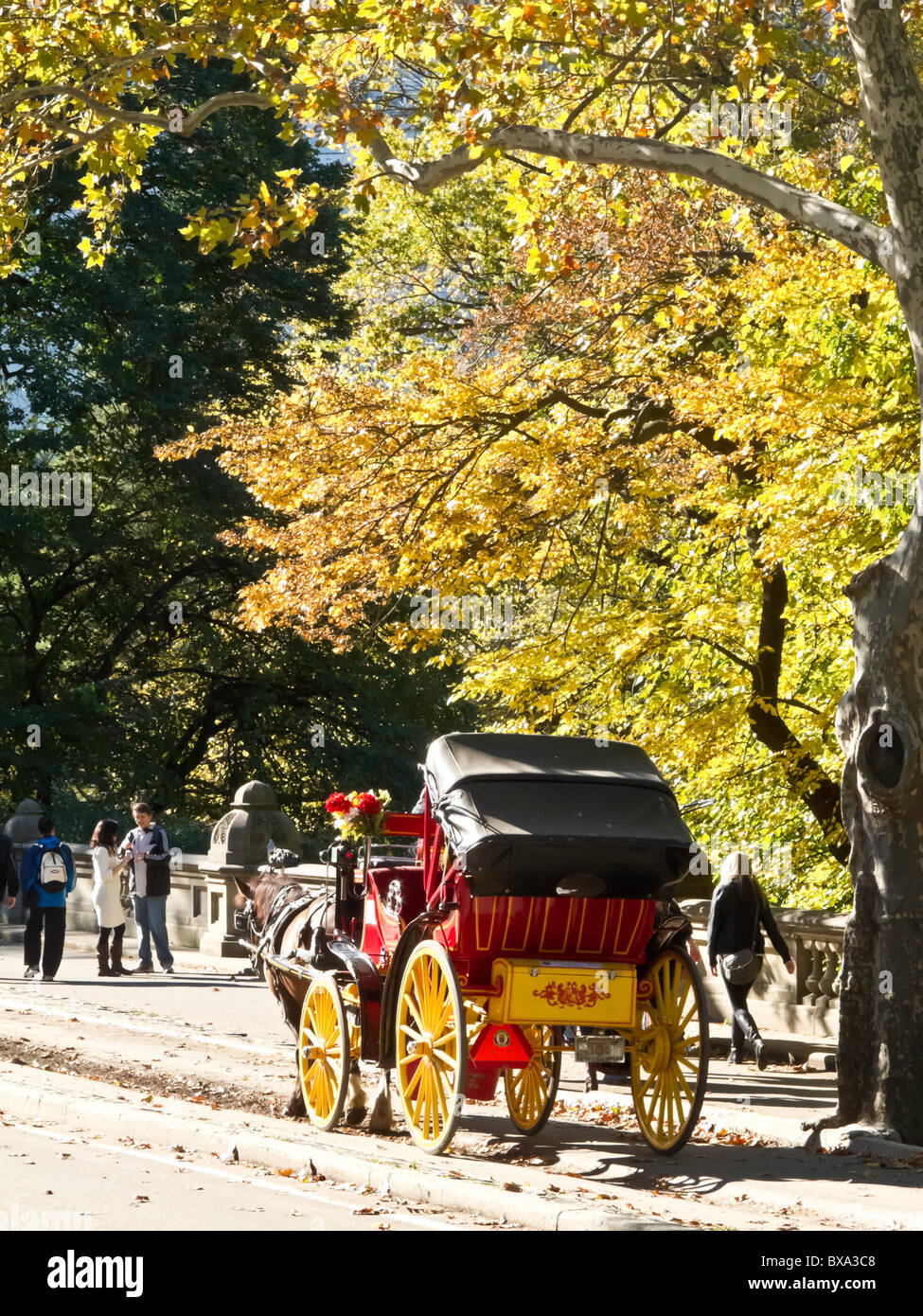Sightseeing excursion horse carriage hi-res stock photography and ...
